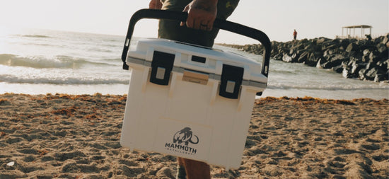 Personalized Coolers – Beam B2B